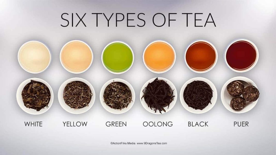 What Are The Main Types Of Tea? | Tea Hee Shop UK